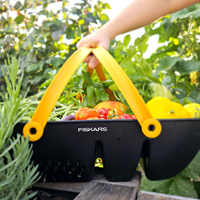 Home - UGC Creator | Angie Mallery of Mallery Creatives